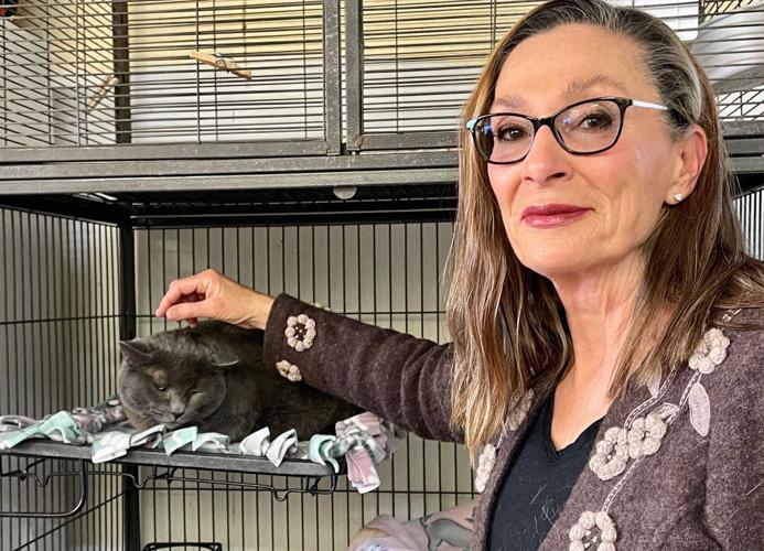 Follow a few of these factors to get your feline feelin’ fine on ...