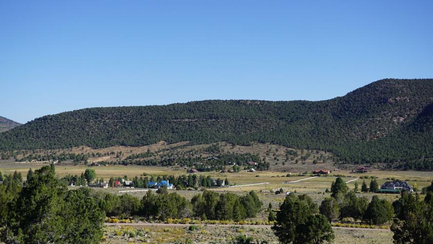 Forest officials begin hazardous fuel reduction project in Pine Valley ...