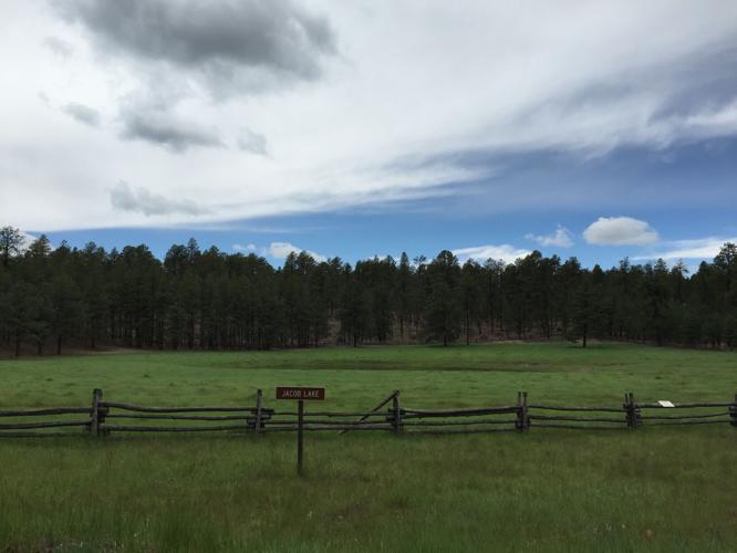 MISSING: Search continues for 5-year-old Jerold Williams, Jacob Lake ...