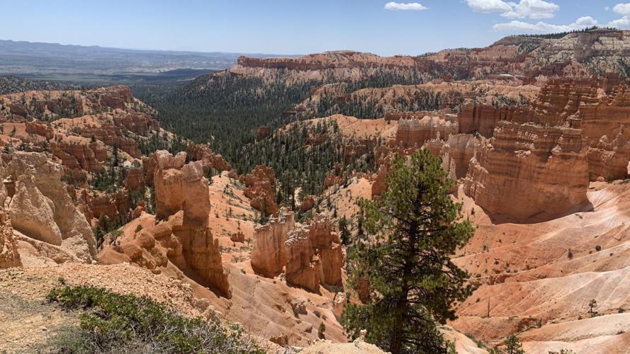 ‘The majesty of the universe is right here in our backyard’: Bryce ...
