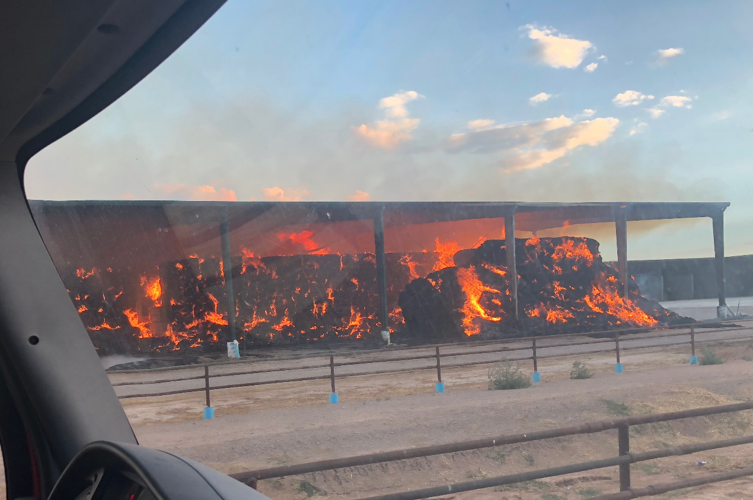 Spontaneously combusting hay causes barn fire at Newcastle dairy farm ...