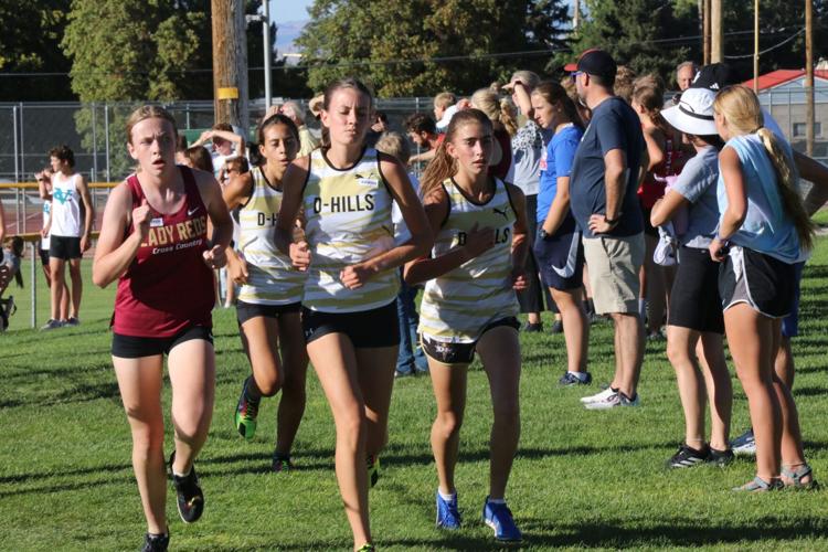 High school cross-country: Athletes hit season’s final stretch in full ...
