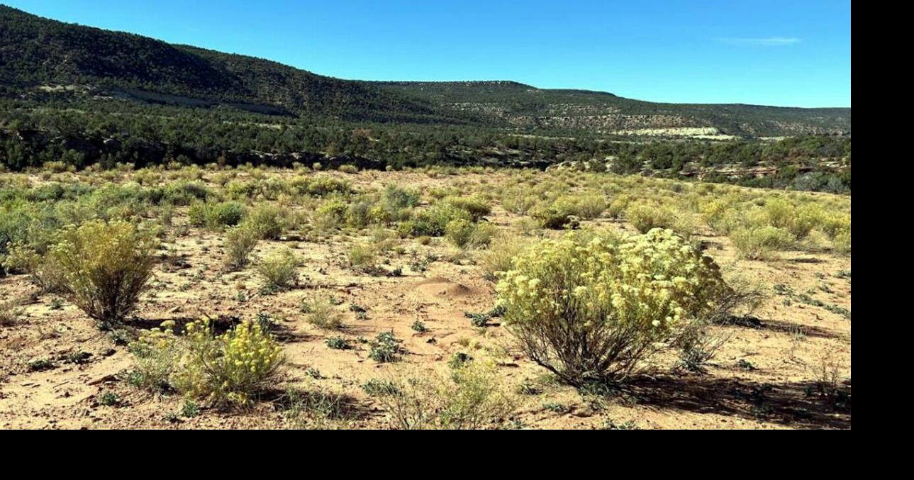 Administration expedites permitting for Utah uranium mine to a two-week ...