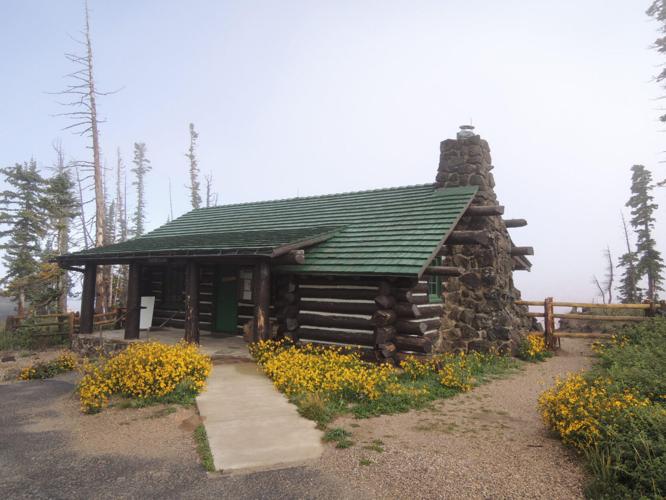 Zion Forever Project’s new 5-year strategic plan emphasizes ‘Greater ...