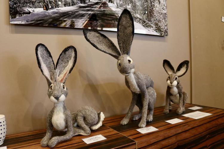 Photo Gallery | | stgeorgeutah.com