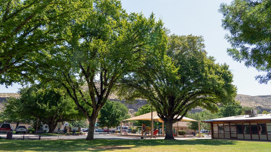 Photo Gallery | | stgeorgeutah.com