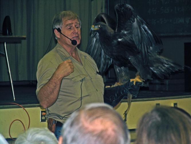Predatory bird expert engages audience with falcons, eagles, vulture ...