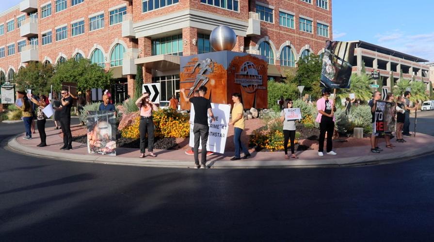 ‘Elevate the message’: Animal rights activists protest in St. George ...