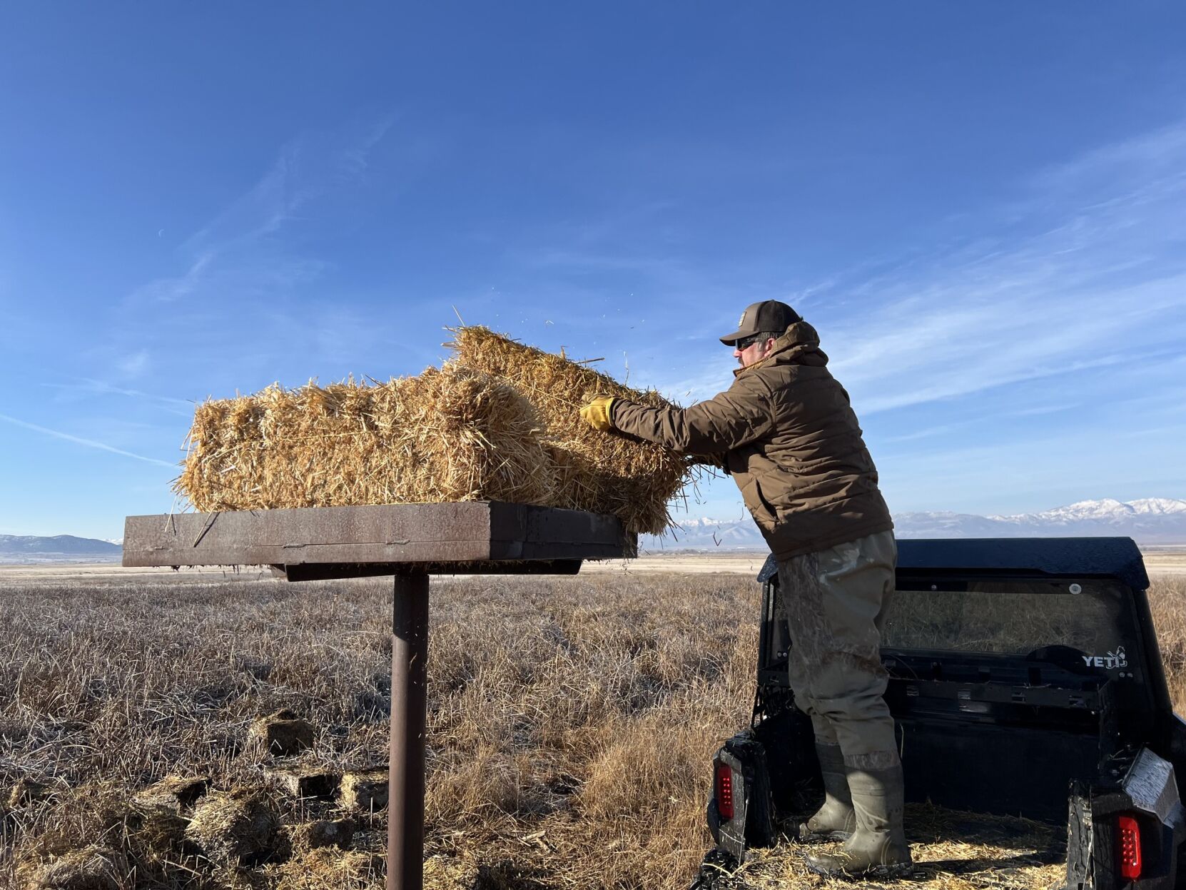 Volunteers in Utah's Dedicated Hunter Program complete over 1,100 ...