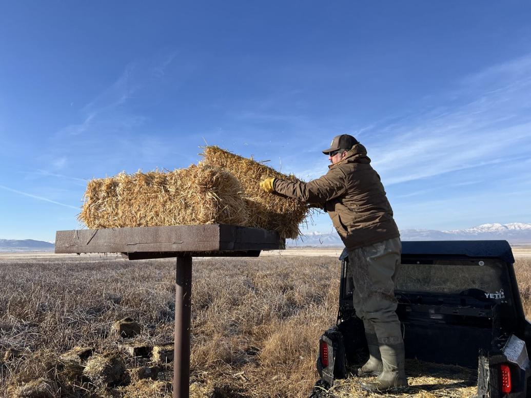 Volunteers in Utah's Dedicated Hunter Program complete over 1,100 ...