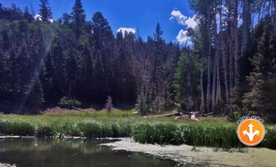 Explore: High-altitude fun at Tushar Lakeside Campground | Explore ...