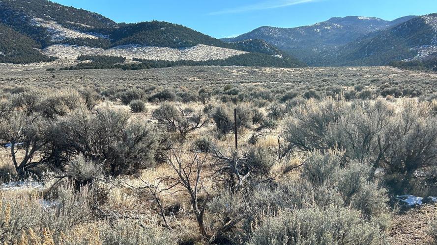 Division celebrates 125 years of conserving wildlife habitat in Utah ...