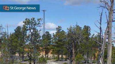 Should there be a new cell tower in Bryce Canyon? Park service seeks ...