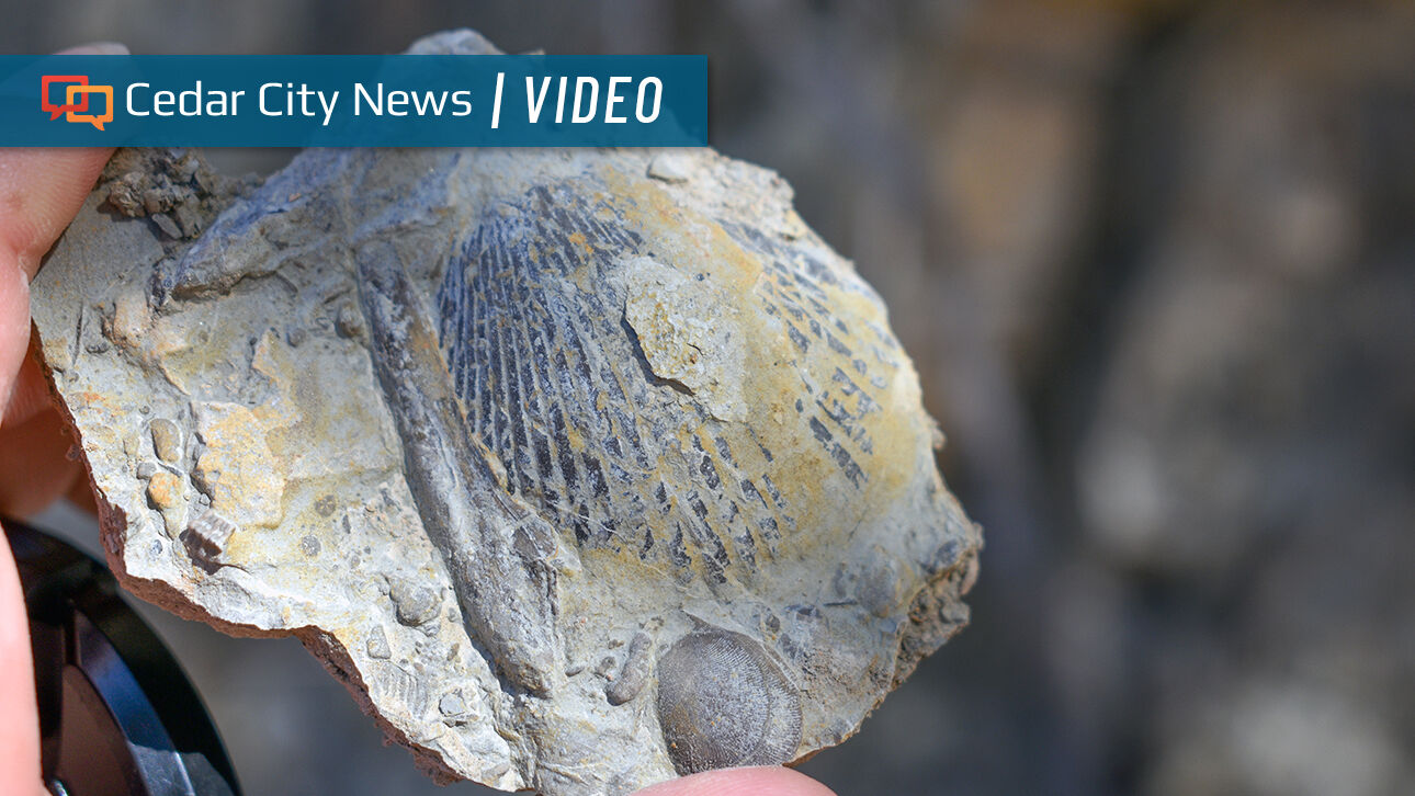 Rockhounding in Southern Utah: What do you need to know? | Explore ...