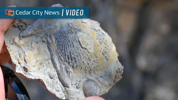 Rockhounding in Southern Utah: What do you need to know? | Explore ...