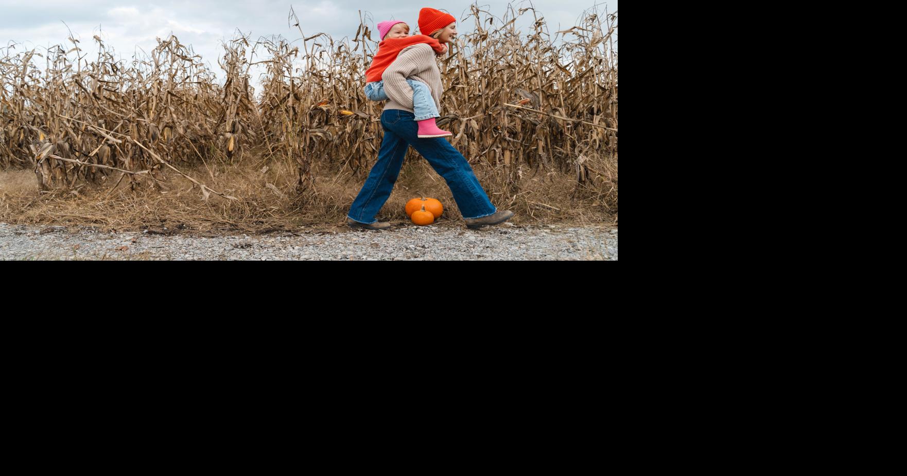 The corn maze craze and why we love getting lost every fall | Life ...