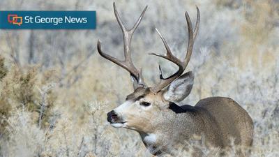 DWR officials offer snapshot of what to expect for upcoming general ...