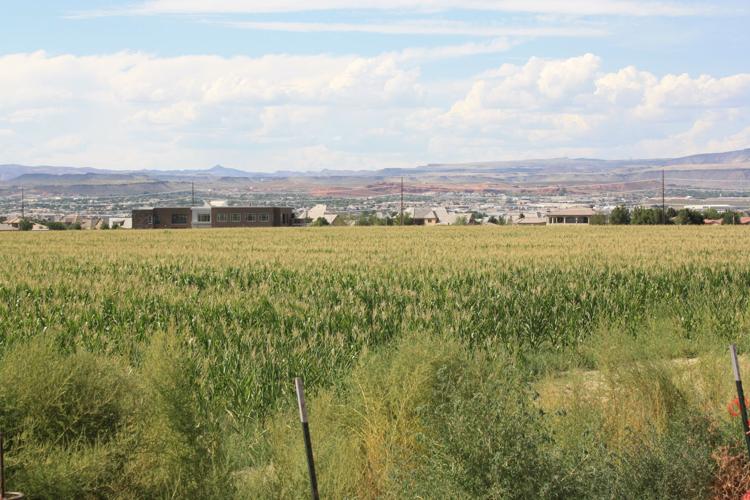 Agritourism day: Staheli and Western Legacy do more than just Halloween ...