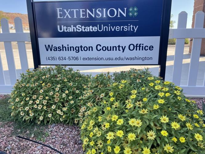 It’s fall planting season in Washington County. Here’s how to avoid ...