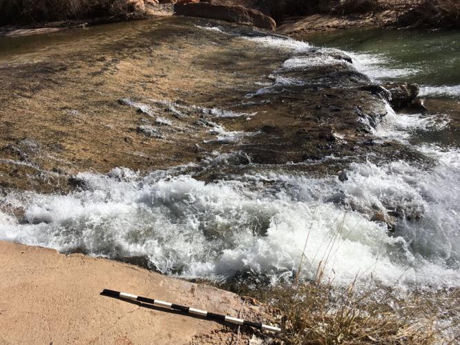 A Zion National Park fish story; project to assess fish passage in ...
