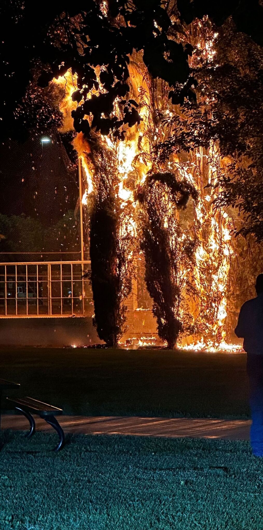 Late night brush fire ignites at Vernon Worthen Park, quickly doused ...