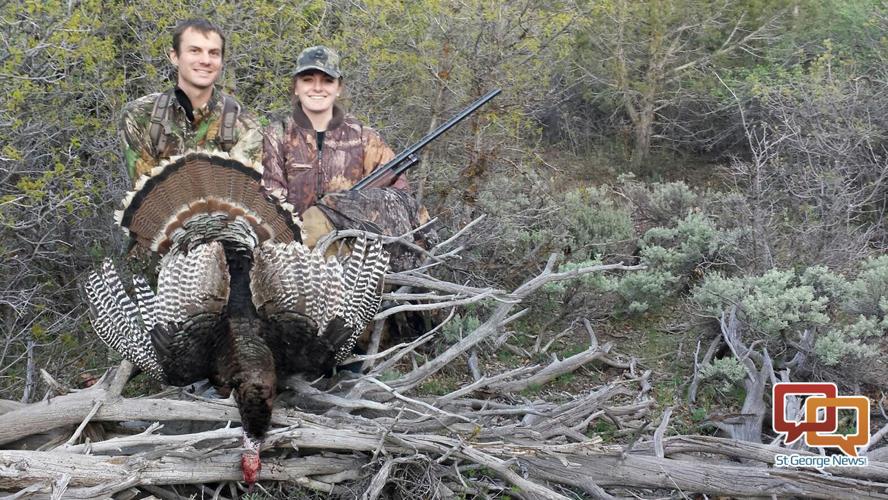 Time to apply for a turkey hunting permit | News | stgeorgeutah.com