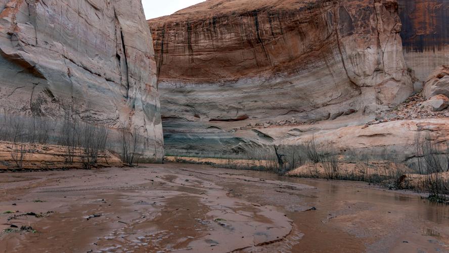 Photo Gallery | Local News | stgeorgeutah.com