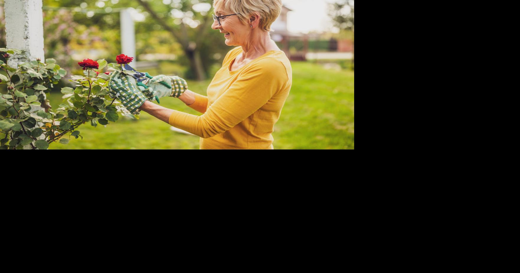 A gardener’s guide to deadheading for healthier, longer-lasting flowers ...