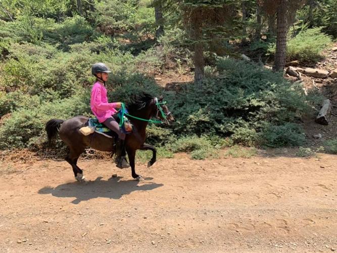 Mother and daughter horseback riders from Leeds finish Tevis Cup, a 1 ...