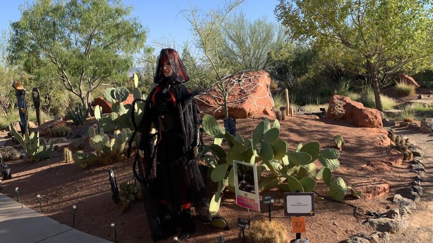 Record crowds creep through Haunted Canyon and Scarecrow Walk in St ...