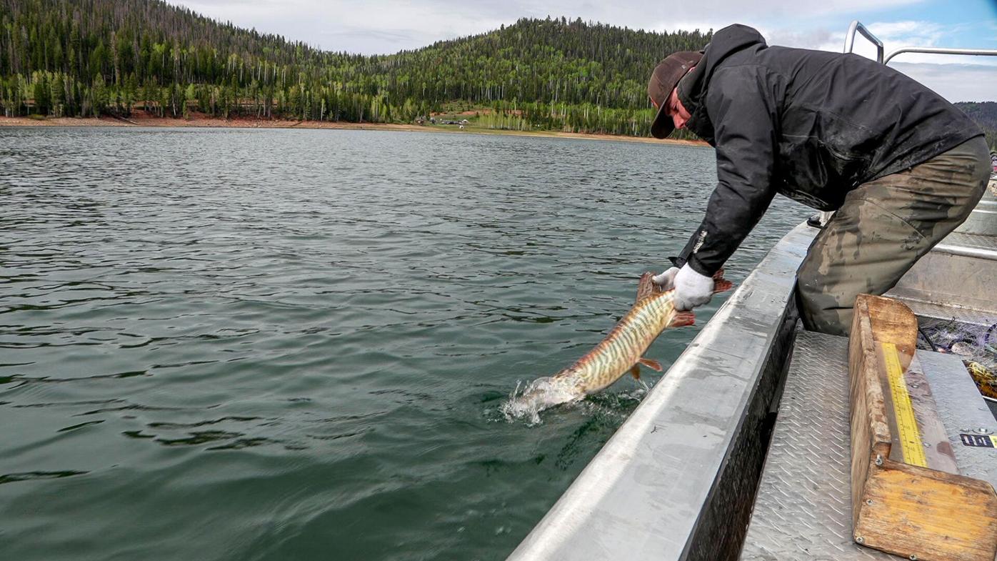 the navajo fishing native americans