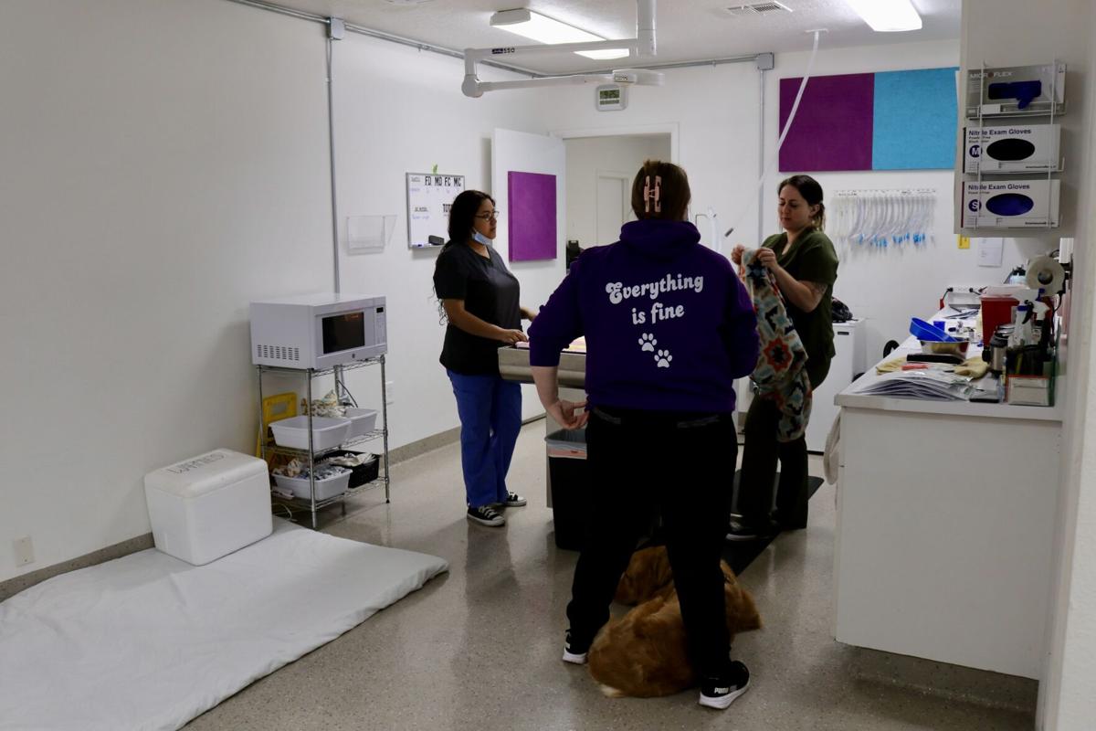 Humane Society of Utah’s St. George clinic marks 20,000 spay and neuter ...