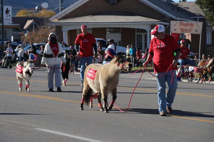 Video, photo gallery: Cedar City’s annual sheep parade | Events ...