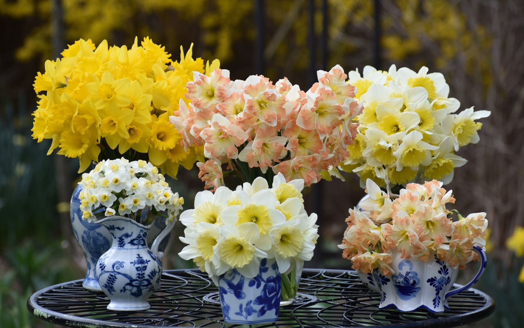 Plant this fall for stunning spring bouquets | Home and Garden ...