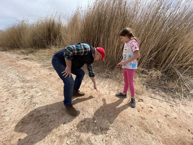 Rep. Travis Seegmiller strives to balance past, present and future ...