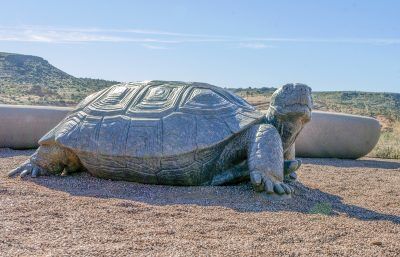 Red Cliffs Desert Reserve gearing up for a week of events celebrating ...