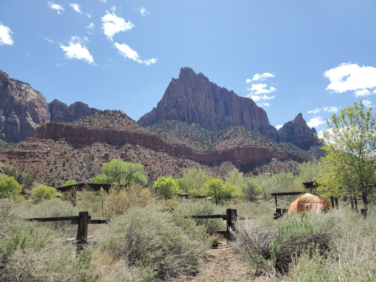 New Zion Forever Project Field Guide highlights conservation and ...