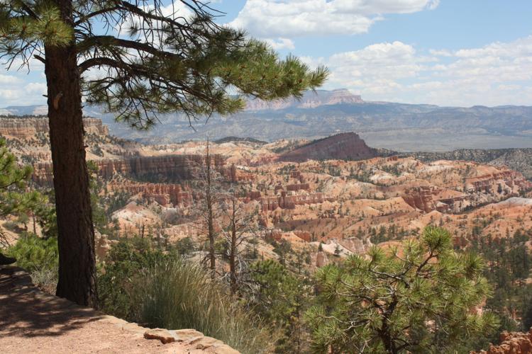 National Parks Week celebrates with fee-free day at all national parks ...