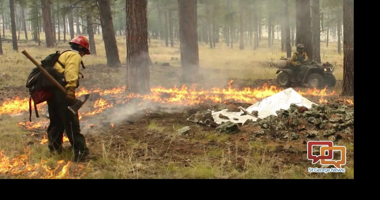 Kaibab National Forest releases wildland fire video | National ...