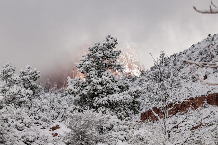 Photo gallery: Newly fallen snow brings a little holiday cheer to parts ...