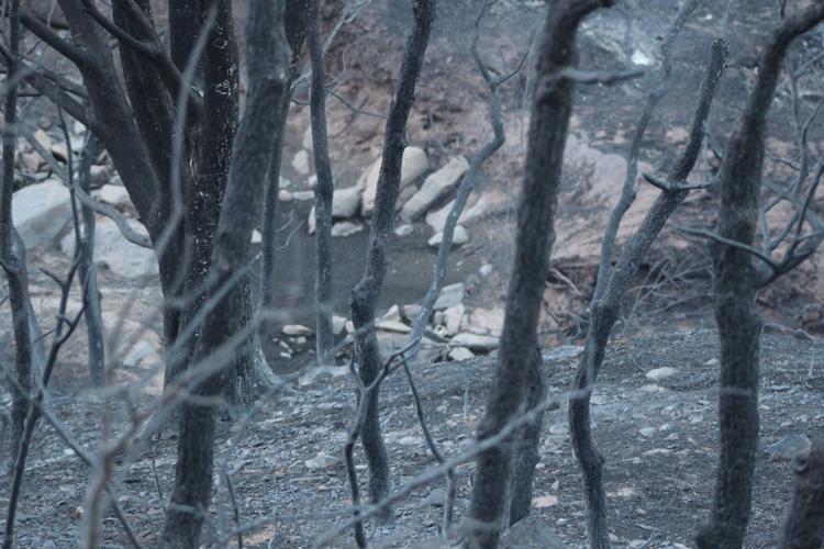 Hicks fire spreads nearly 100 acres overnight, 0 containment ...