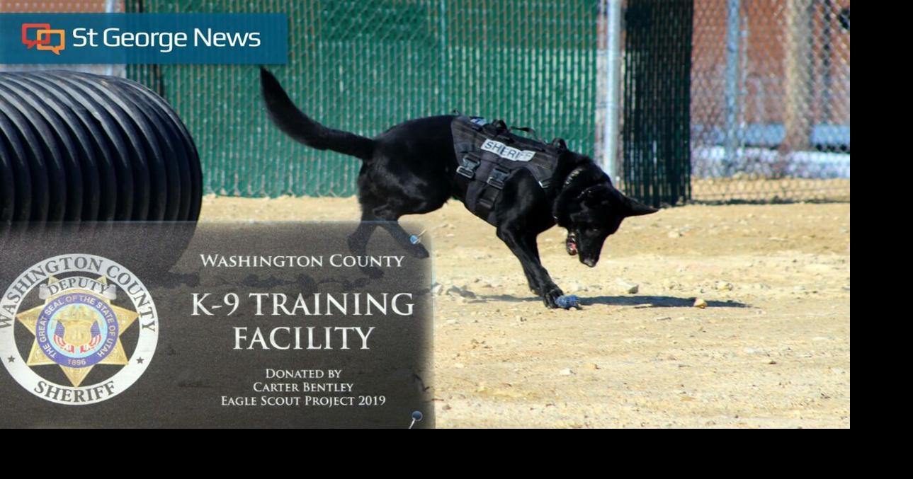 Boy Scout combines passion for dogs, law enforcement to create K-9 ...