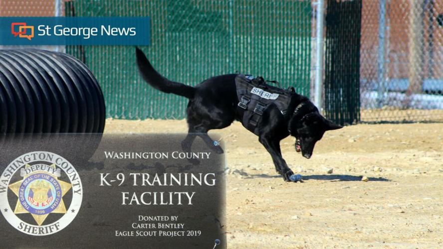 Boy Scout combines passion for dogs, law enforcement to create K-9 ...