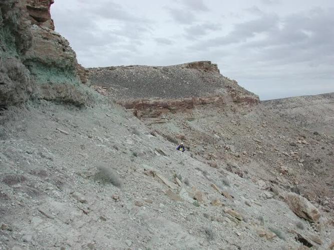 Scientists unearth 9 ton quicksand block containing Utahraptor ...
