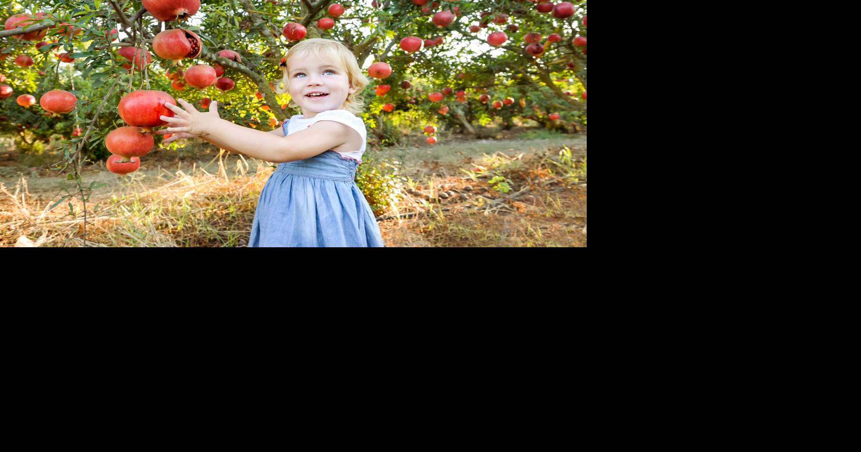 Pomegranates: What Southern Utahns should know about these seasonal ...