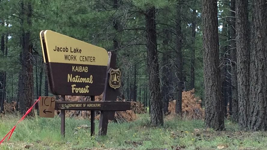 5 days missing: Search continues for 5-year-old Jerold; family asks for ...