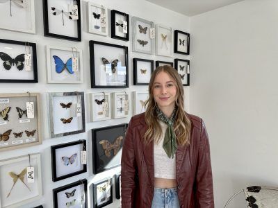 ‘A universal connection’: New business takes flight with real butterfly ...