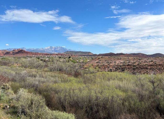 Southern Utah’s spring allergy season is back — with a vengeance ...