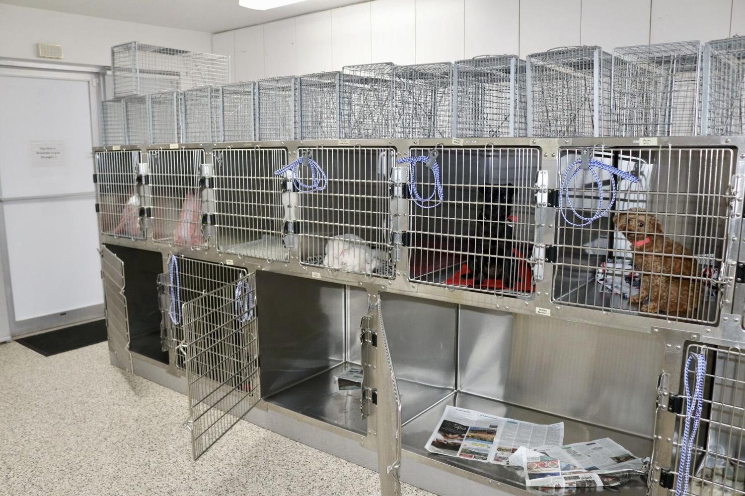 Humane Society’s St. George Clinic unveils facility renovations ...