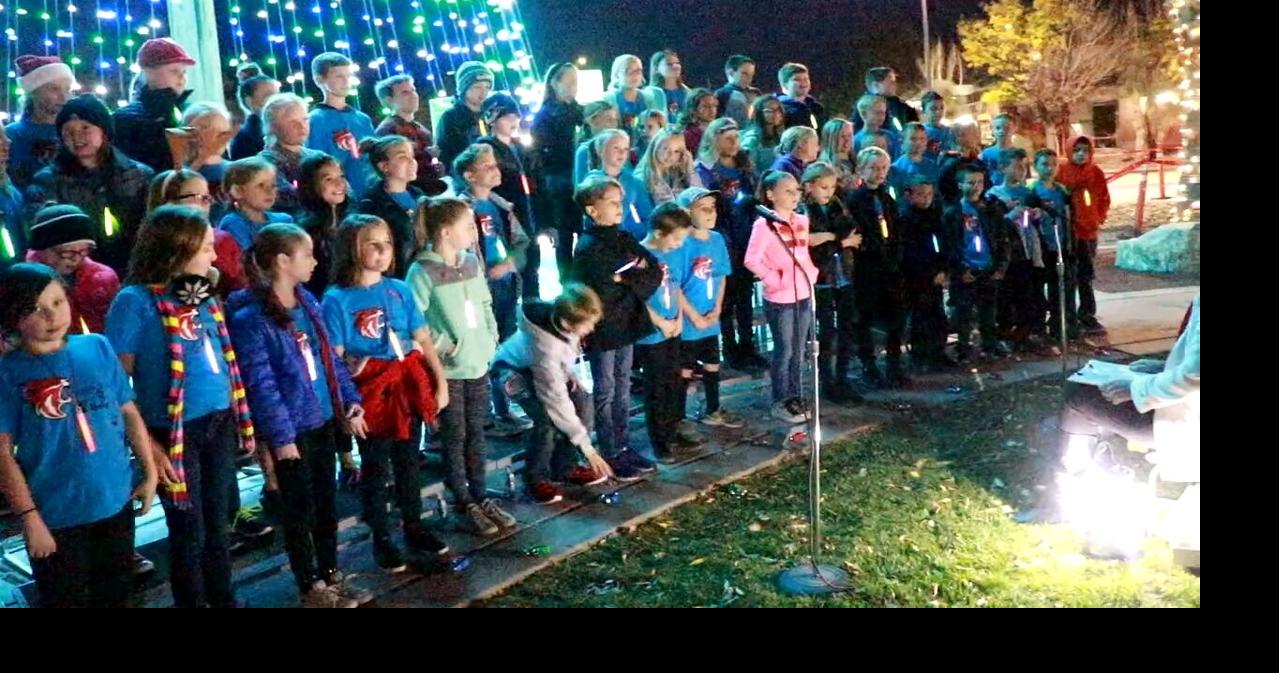 Dixie Power lights up giant ‘tree’ for holidays | Local News ...